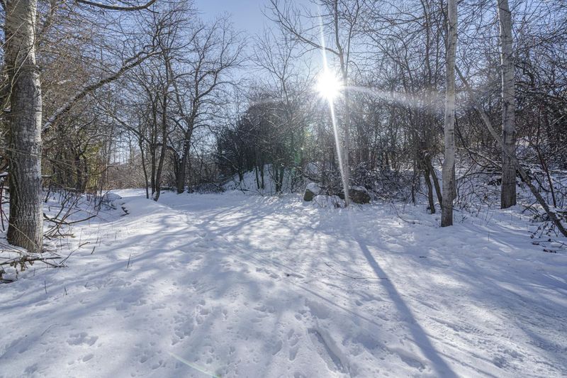 Nature Off Road: Snow-Covered Trails and Trees HDRi Maps and Backplates