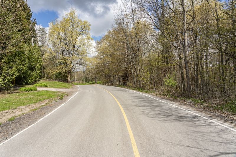 Nature Pathway in Toronto, Canada HDRi Maps and Backplates