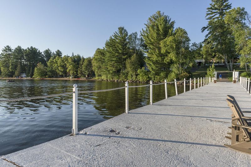 Nature and Trees in a Rural Park by the Lake HDRi Maps and Backplates
