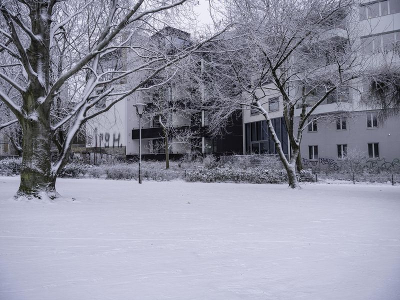 A Tree in the Neighborhood Landscape with a Building HDRi Maps and ...
