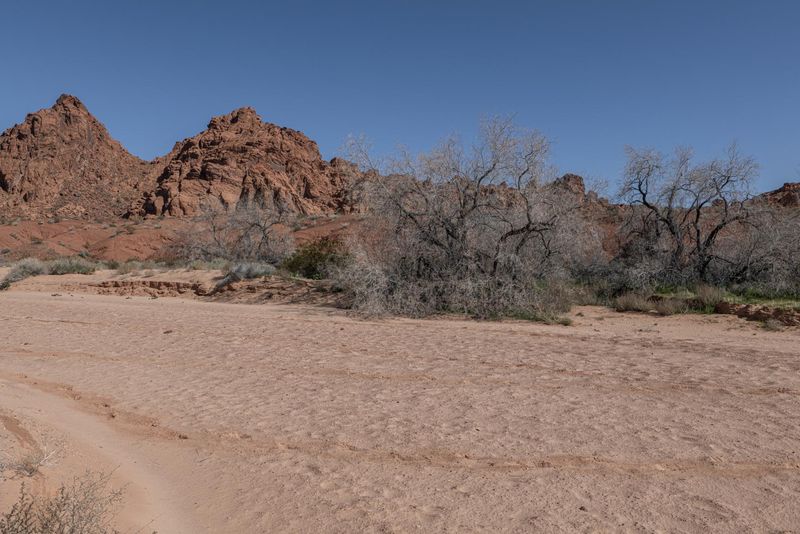 Nevada Desert Road Trip: Exploring the Rugged Terrain HDRi Maps and ...