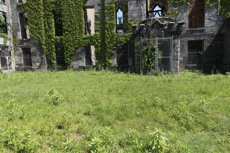 New York City Abandoned Building with Overgrown Vegetation HDRi Maps ...