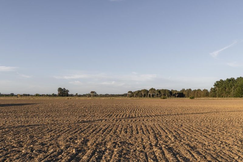 Open Space in New Zealand: Low Grass and Dirt Surface HDRi Maps and ...