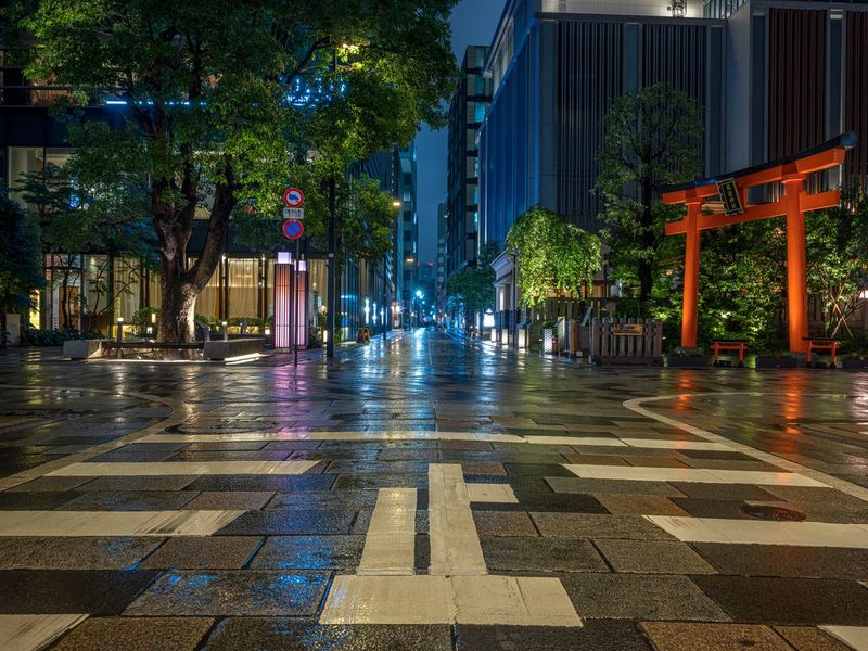 Night in Tokyo: City Lights and Urban Life HDRi Maps and Backplates