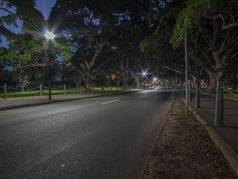 Nighttime Suburban Street Tree Lights HDRi Maps and Backplates