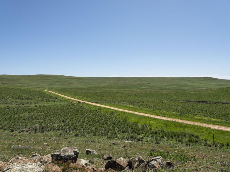 Nimmitabel Rural Landscape in New South Wales HDRi Maps and Backplates