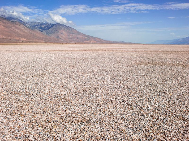 Off-Road Adventure in the Natural Environment HDRi Maps and Backplates