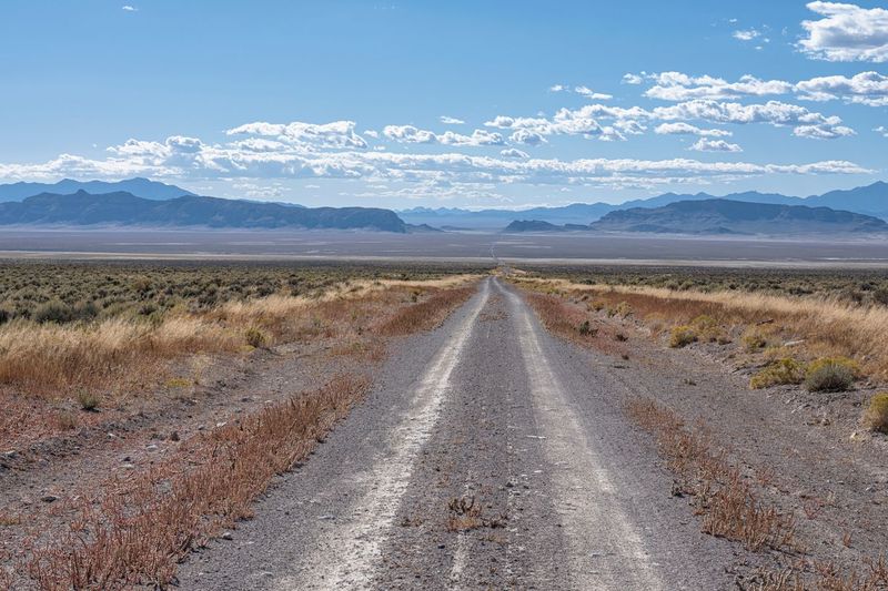 Off-Road Adventure: Dirt Track in California's Nature HDRi Maps and ...
