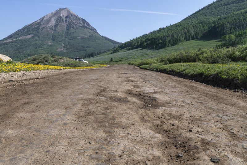 Off-Road Adventure in Colorado Forest: Exploring the Beauty of Nature ...