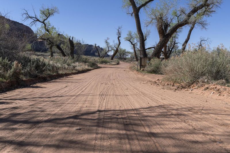 Off-Road Adventure: Sand Track HDRi Maps and Backplates