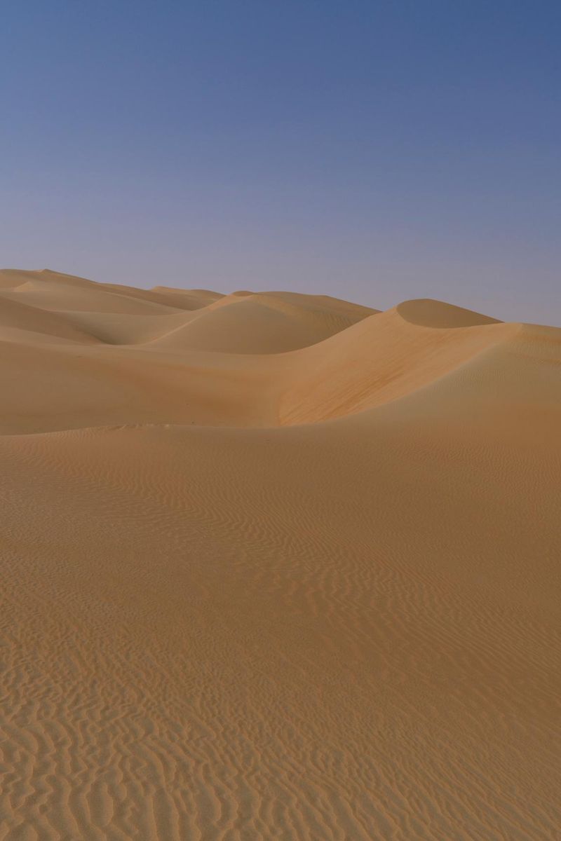 Off-Road Desert Adventure in Liwa, UAE HDRi Maps and Backplates