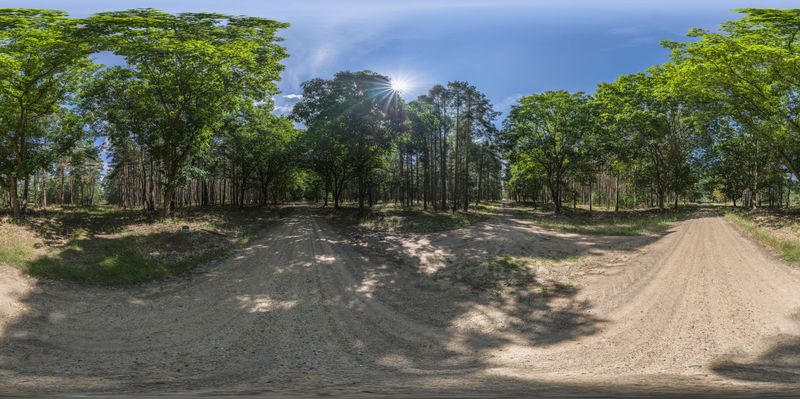 Off-Road Track in the Forest near Berlin HDRi Maps and Backplates