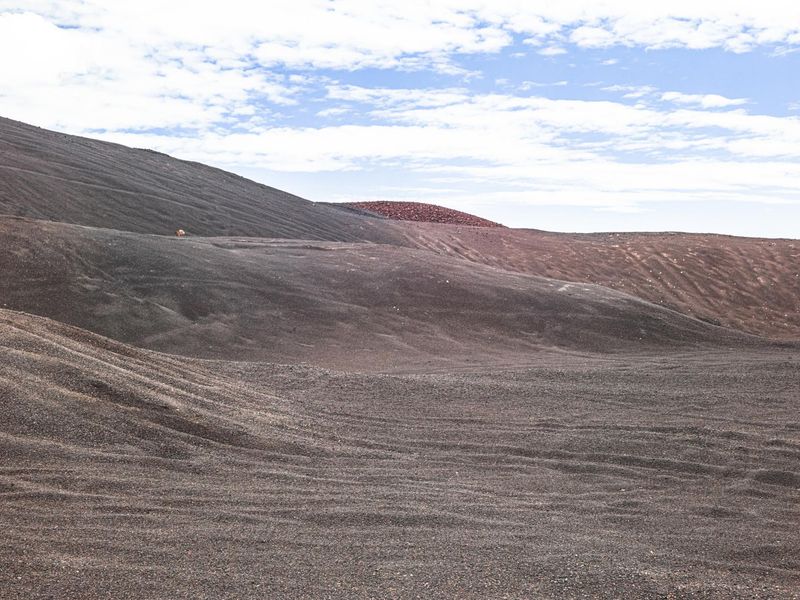 Off-Road Track: Exploring the Forest Terrain HDRi Maps and Backplates