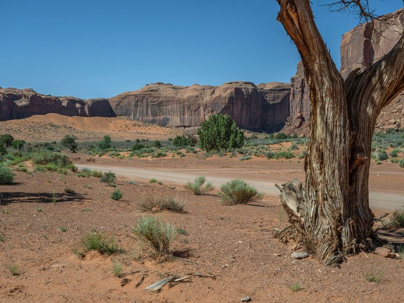 Off-Road Track in Monument Valley, Arizona, USA HDRi Maps and Backplates