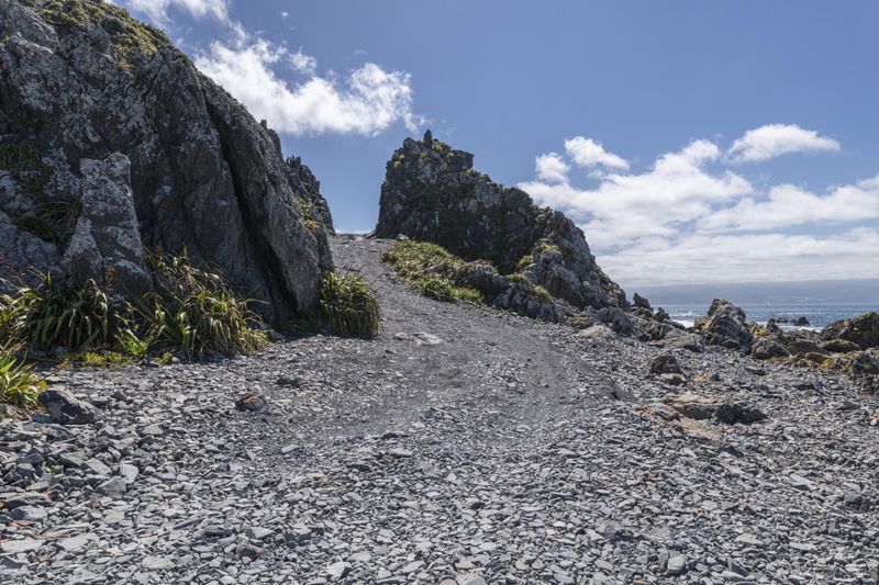 Off-Road Track in New Zealand Highlands HDRi Maps and Backplates