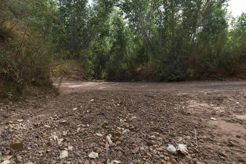 Off Road Track in Utah HDRi Maps and Backplates