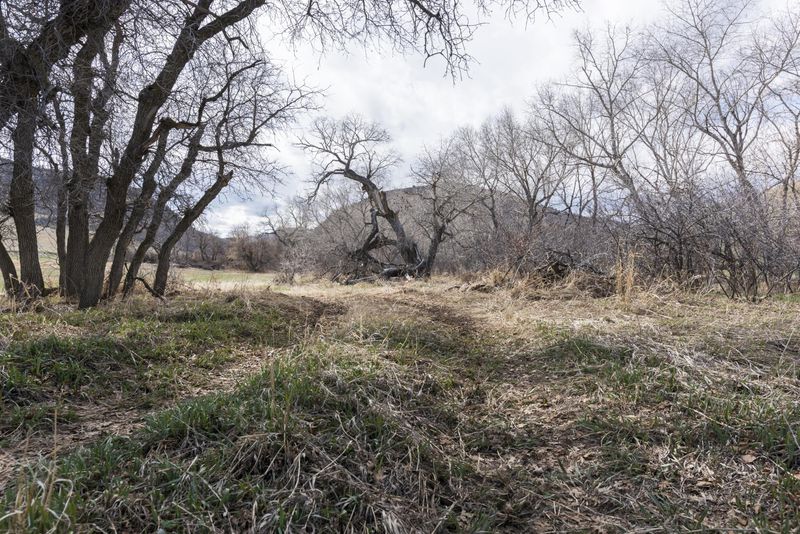 Off-Roading in Colorado: Exploring the Rural Landscape - HDRi Maps and ...