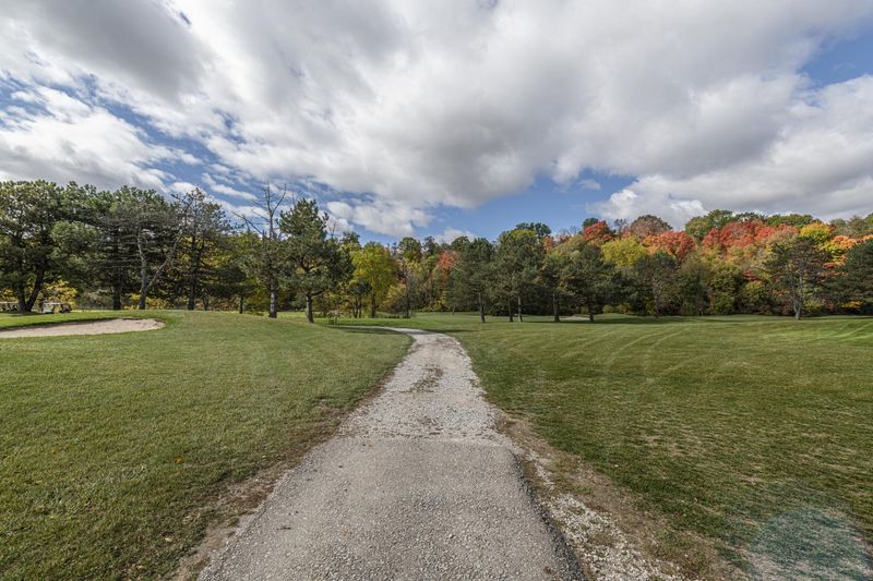 Ontario, Canada Landscape: A Road Lined with Trees HDRi Maps and Backplates