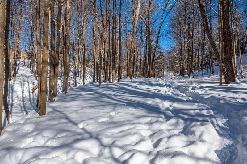 Ontario Canada Rural Road in Snow with Clear Sky HDRi Maps and Backplates