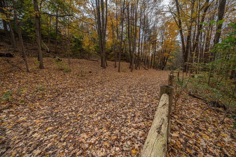 Ontario Canadian Landscape: A Dirt Road Through Majestic Trees HDRi ...