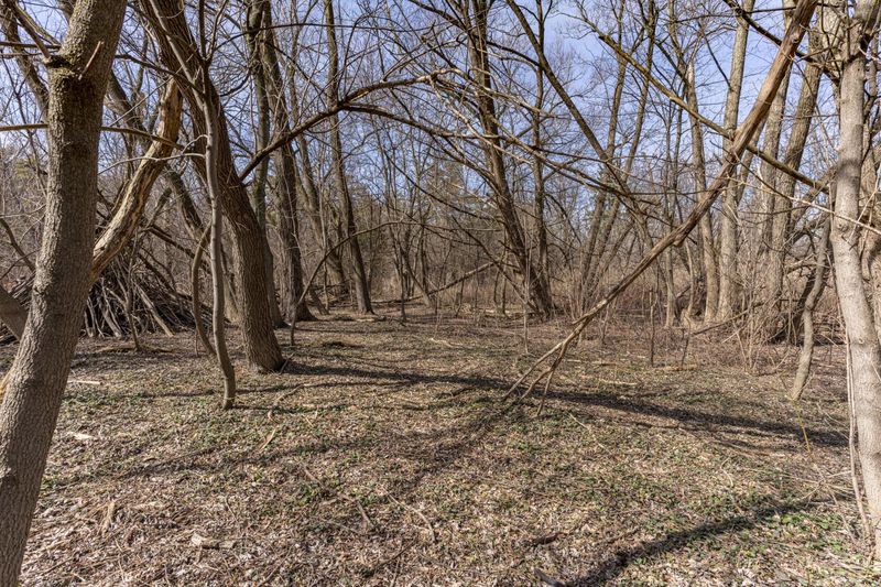 Ontario Forest Landscape in Autumn near Toronto HDRi Maps and Backplates