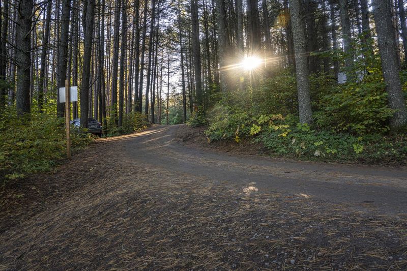 Ontario Forest: Sunshine and Clear Sky HDRi Maps and Backplates