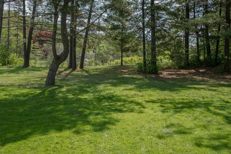 Ontario Green Grass Nature Scenery HDRi Maps and Backplates