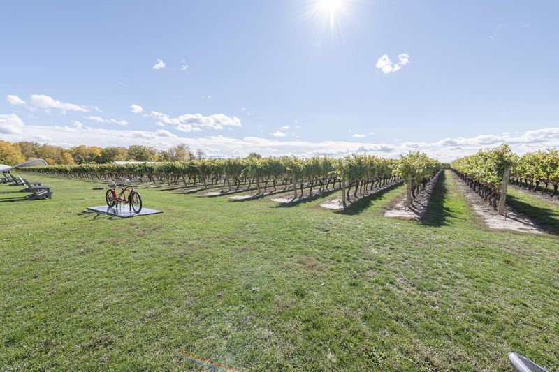 Ontario Rural Landscape: Bathed in Sunlight HDRi Maps and Backplates