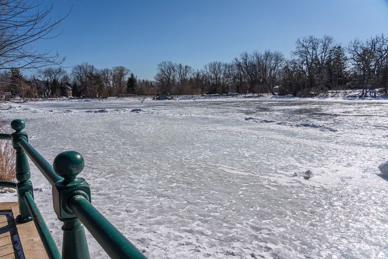 A Snowy Day in Ontario's Suburban Park in Toronto HDRi Maps and Backplates