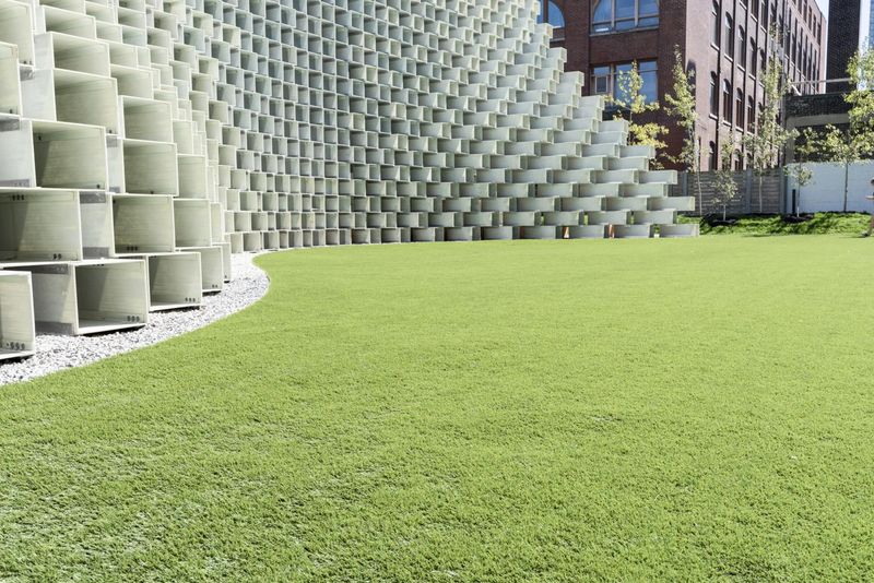 Urban Design in Ontario: Tree Shadows on the Grass - HDRi Maps and ...