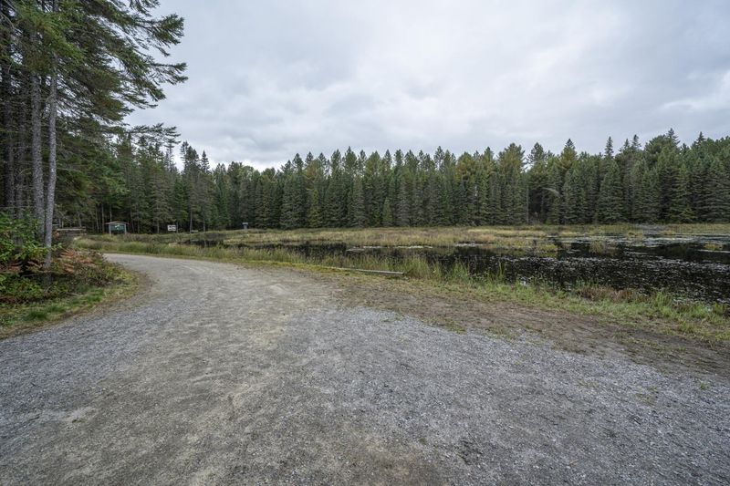 Ontario's Wooded Area: A Gloomy Grey Sky HDRi Maps and Backplates