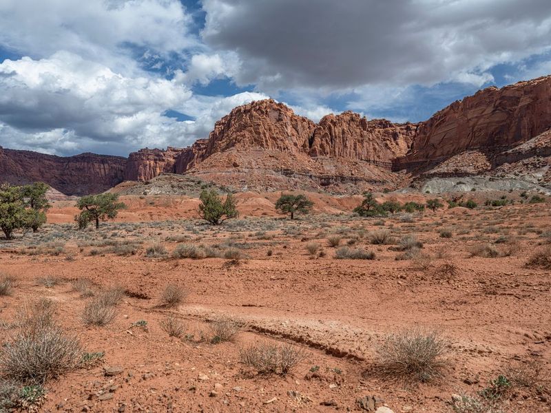 Open Space Landscape in Capitol Reef, Utah HDRi Maps and Backplates