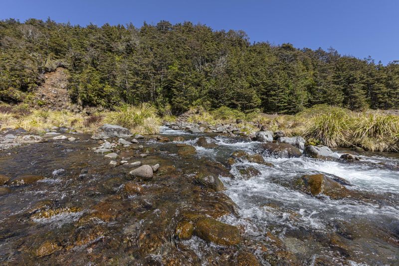 Open Space: A River Bank with Scenic Views HDRi Maps and Backplates