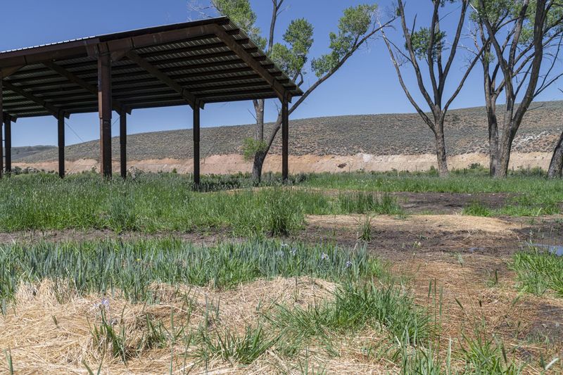 Open Space in Rural Colorado: A Serene Landscape HDRi Maps and Backplates