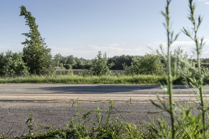 Overgrown Road in Rural Ontario HDRi Maps and Backplates