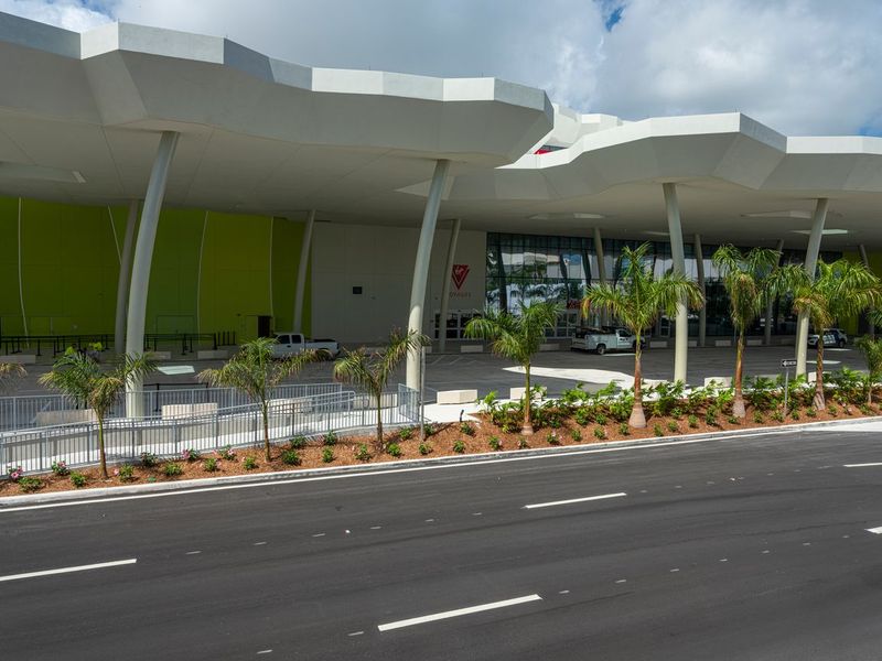 Palm Trees in Miami Beach: A Top-Down Perspective HDRi Maps and Backplates