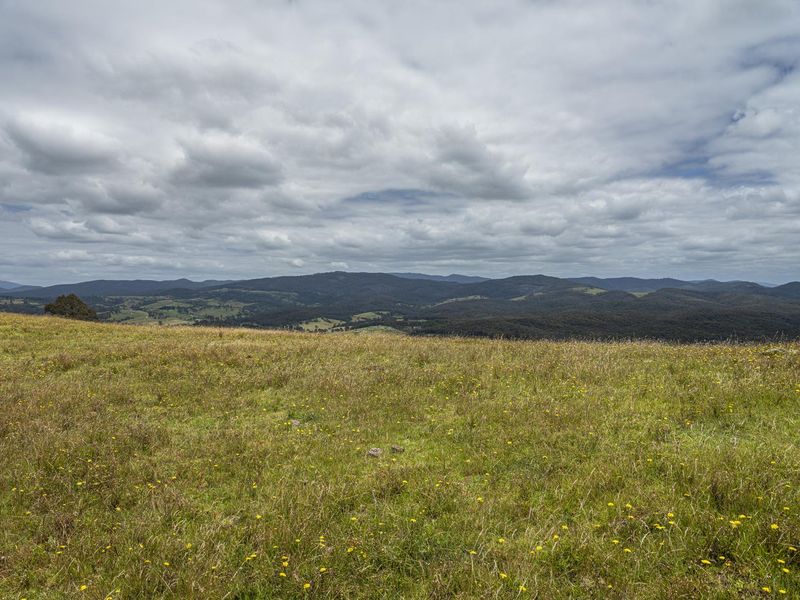 Pambula: A Dramatic Landscape Off-Road in Australia HDRi Maps and ...