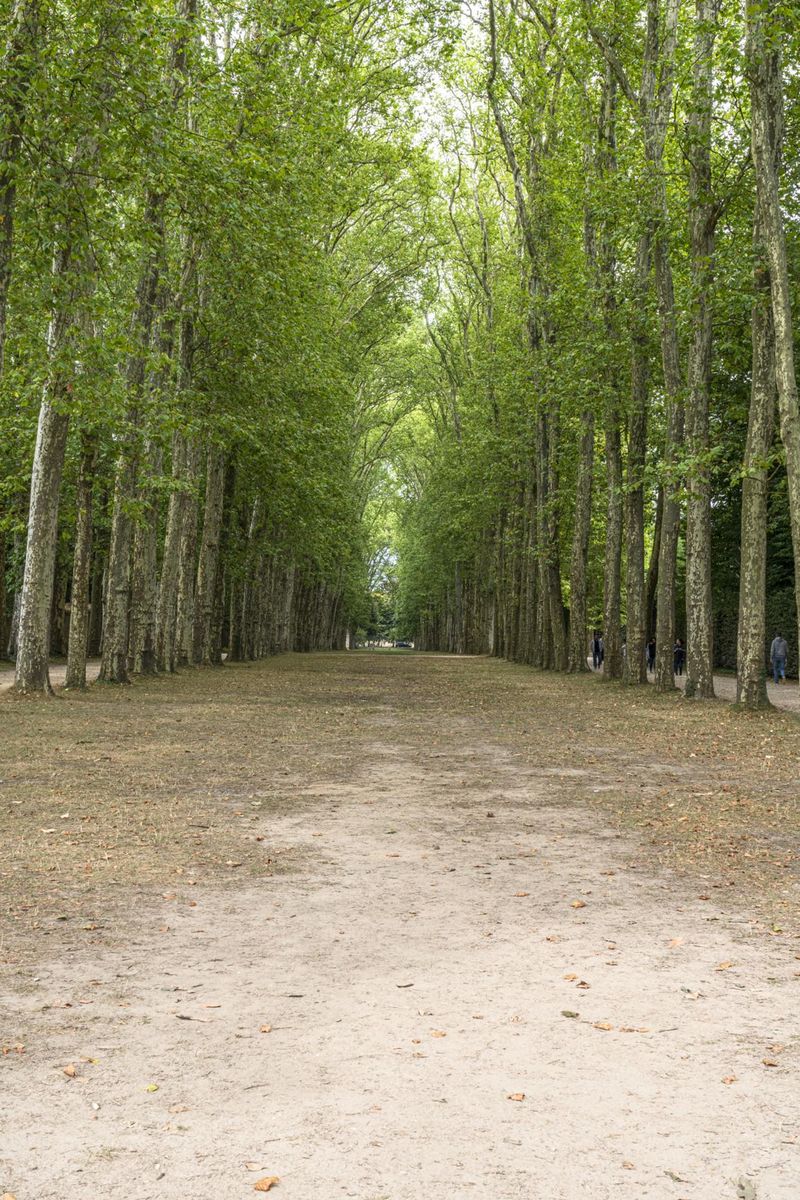 Paris, Europe: Sand Streets and Residential Buildings HDRi Maps and ...