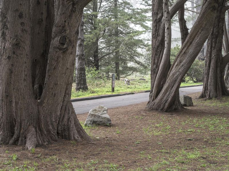 Park Bench in Big Sur on Pacific Coast Highway HDRi Maps and Backplates