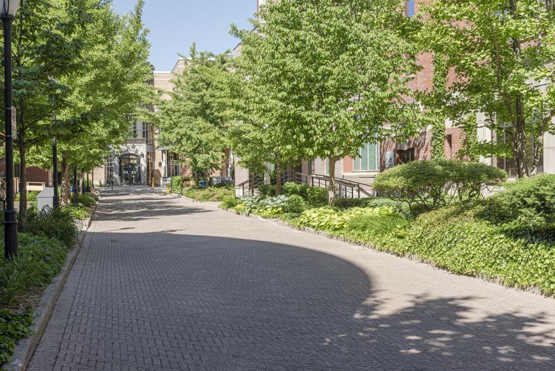 Picturesque Residential Area in Toronto, Canada HDRi Maps and Backplates