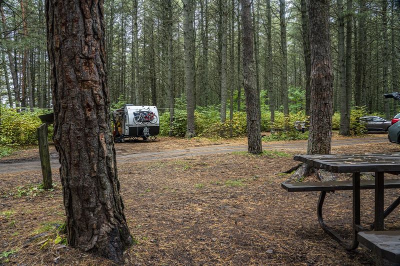 Recreational Vehicles Parked in Wooded Area - Ontario, Canada HDRi Maps ...