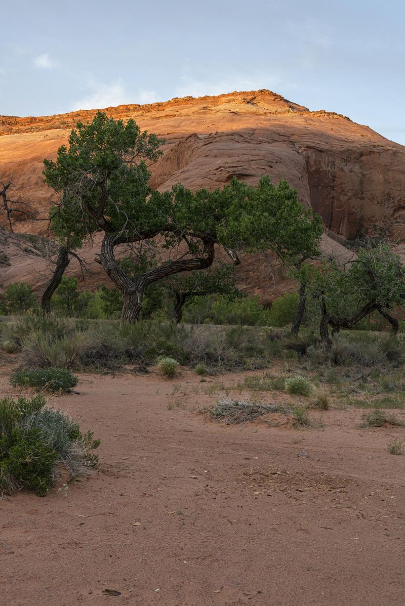 Red Rock Landscape in Utah's North Wash HDRi Maps and Backplates