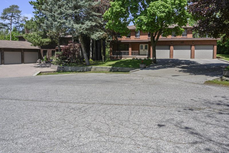 Residential Area in Canada: A Profile of Trees HDRi Maps and Backplates