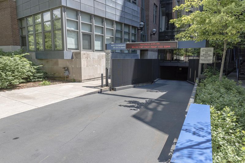 Exploring a Residential Area: Toronto by Day and Tree HDRi Maps and ...