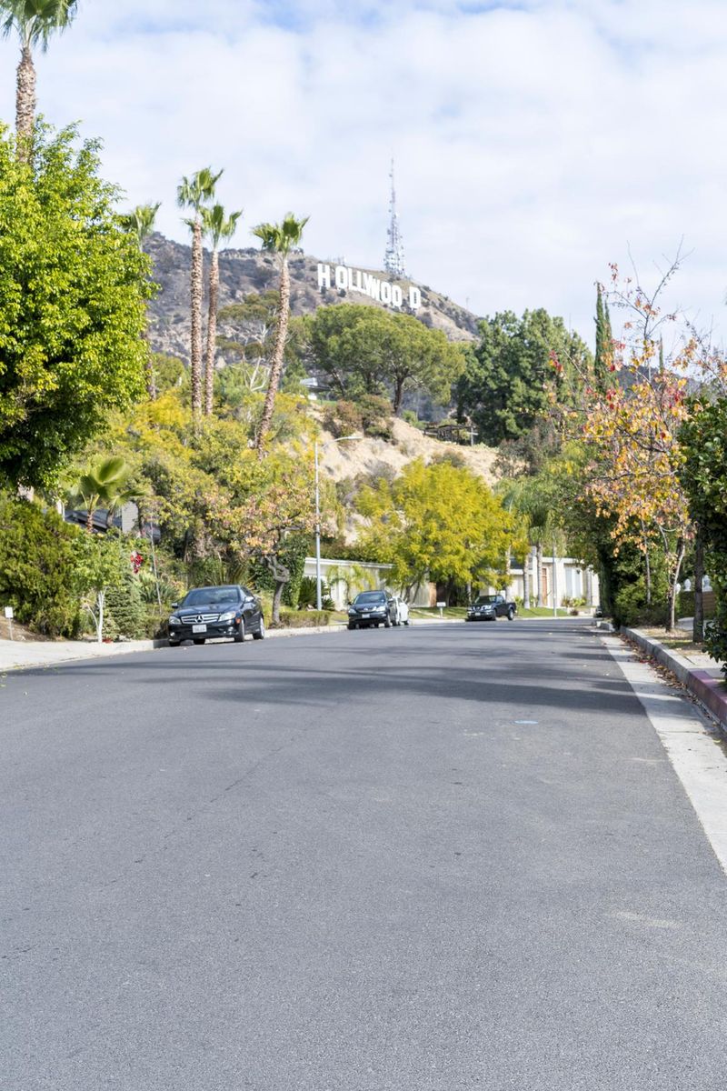 Residential Road in Town with Woody Plants HDRi Maps and Backplates