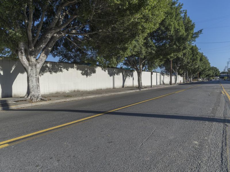 Residential Roads in Los Angeles with Tree Canopy HDRi Maps and Backplates