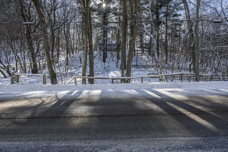 Road Through Snowy Forest HDRi Maps and Backplates