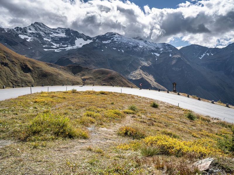 Road in Europe: Asphalt Surrounded by Nature HDRi Maps and Backplates