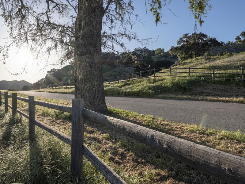 Road and Grass Field with Trees on Hillside in California, USA HDRi ...