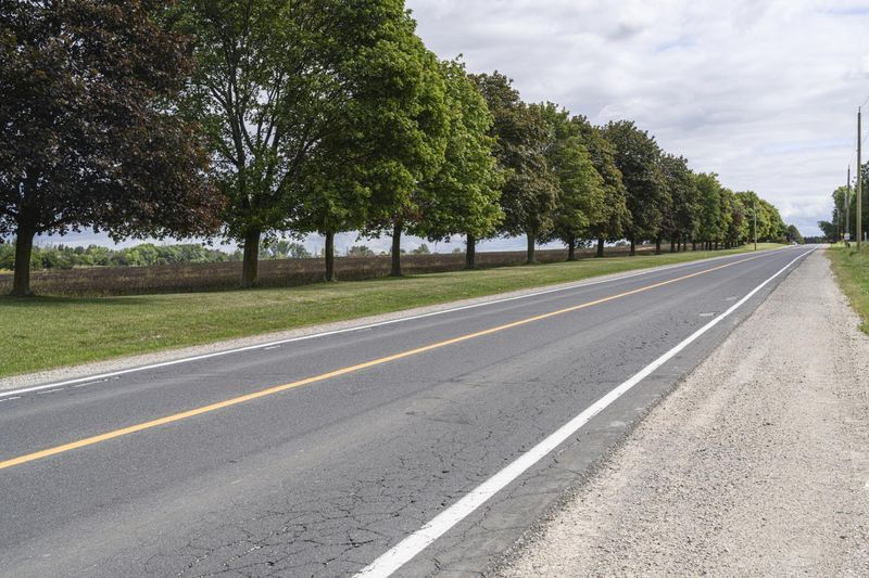 Road in Ontario, Canada | Natural Landscape Photo HDRi Maps and Backplates